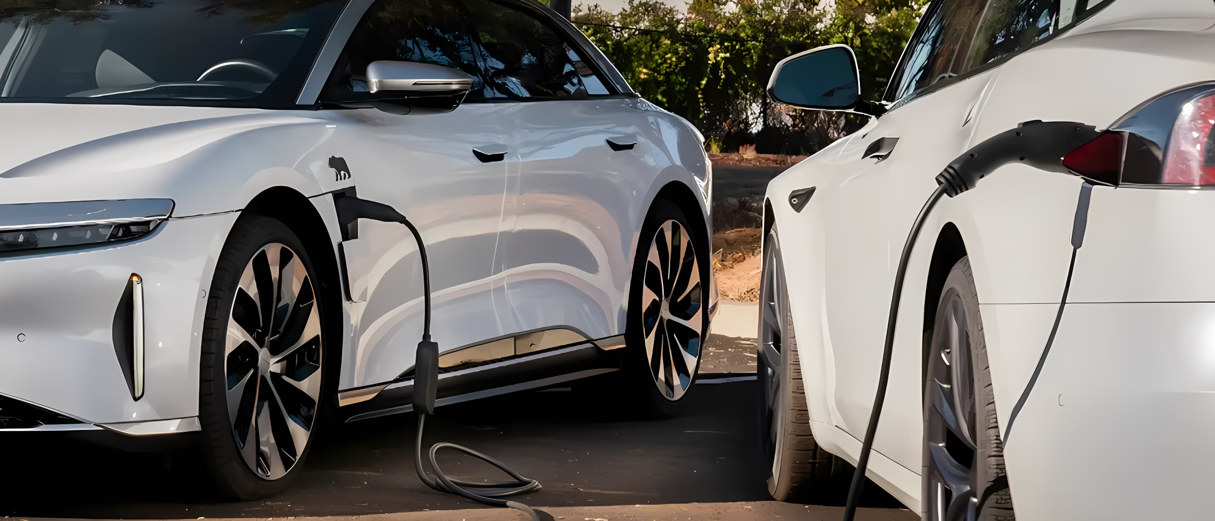 Tesla V2L Discharge Device | DC to AC Adapter for Model 3/Y/S/X ...